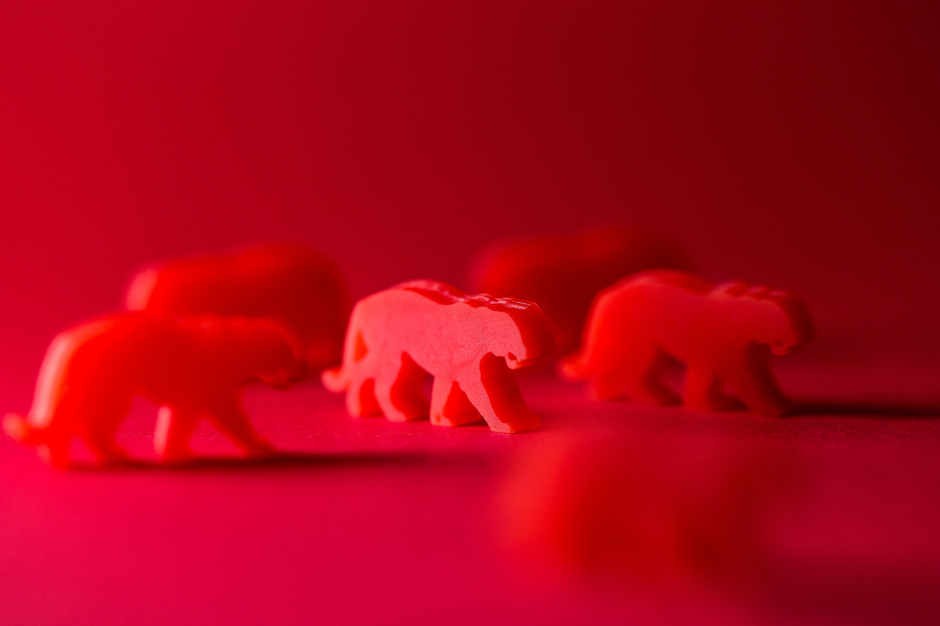 Ark Nova Animals, Kiosks and Pavilions 3D Upgrade. - Etsy