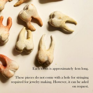 Human Tooth | Polymer Clay Human Tooth for Jewelry and Craft Making ...