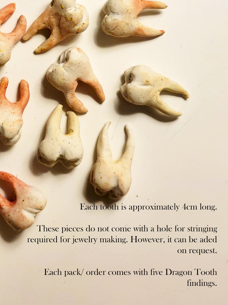 Human Tooth | Polymer Clay Human Tooth for Jewelry and Craft Making ...