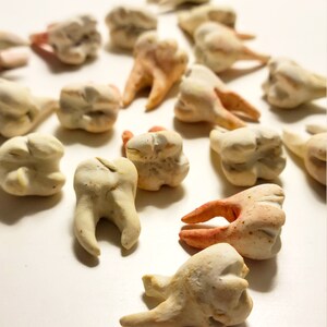 Dragon Tooth (style 2) | Polymer Clay Dragon Tooth for Jewelry and ...