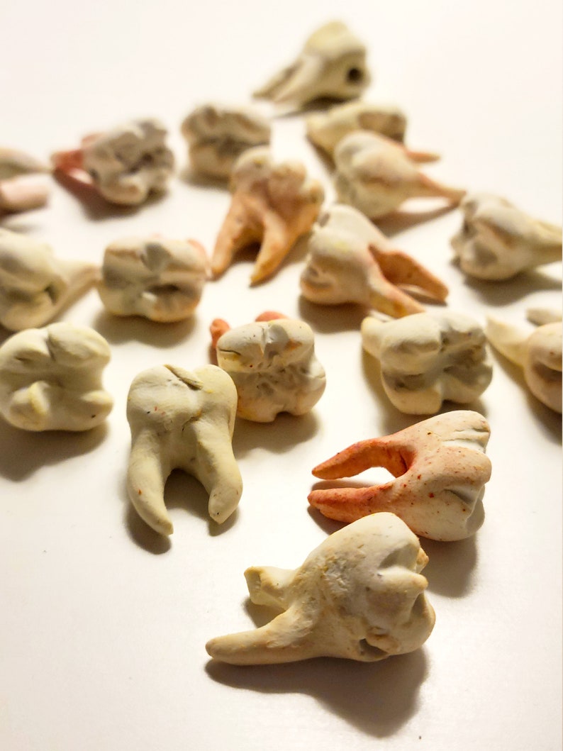 Dragon Tooth (style 2) | Polymer Clay Dragon Tooth for Jewelry and ...