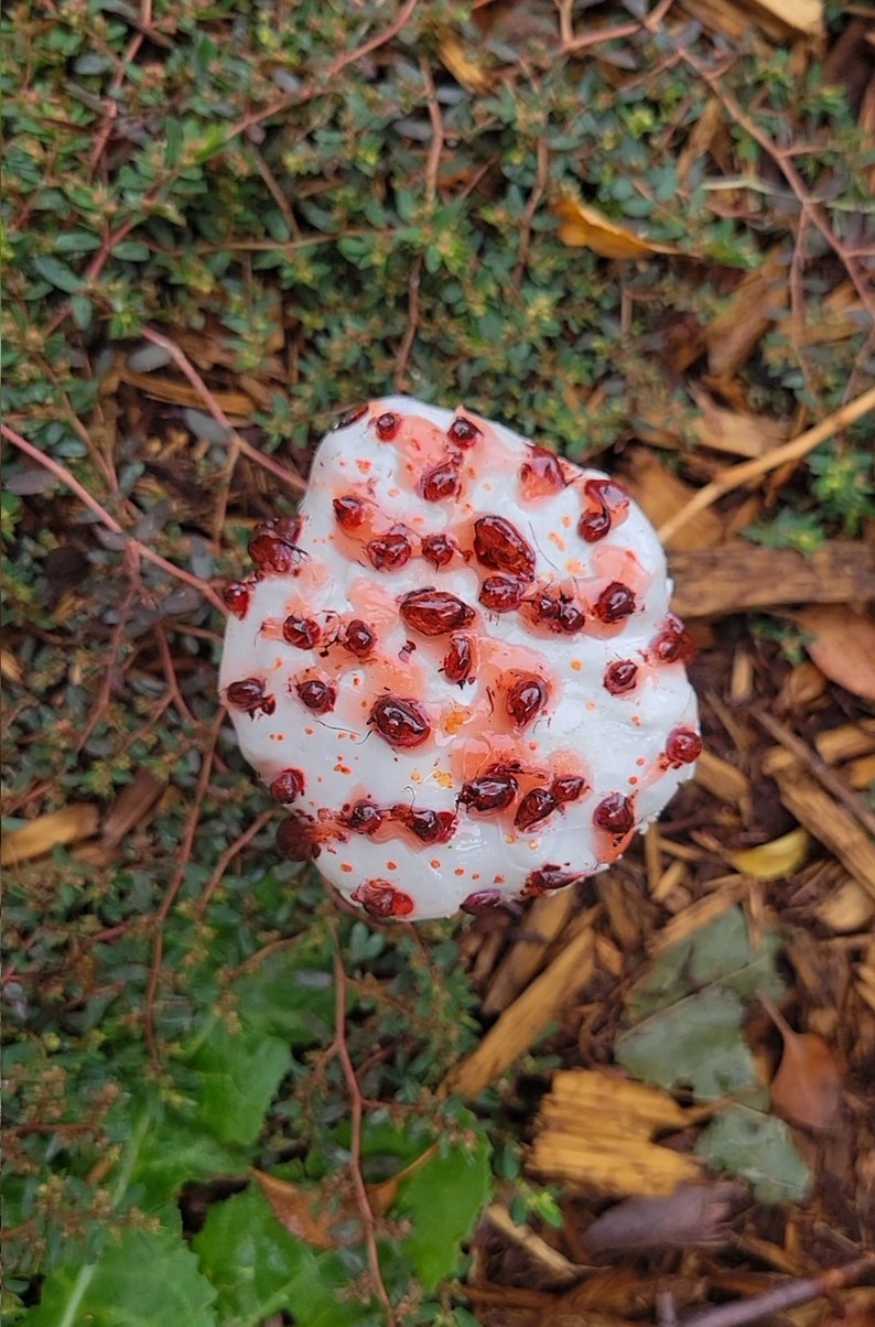 Handmade Bleeding Tooth Mushroom Garden Stake: Polymer Clay Devil's ...