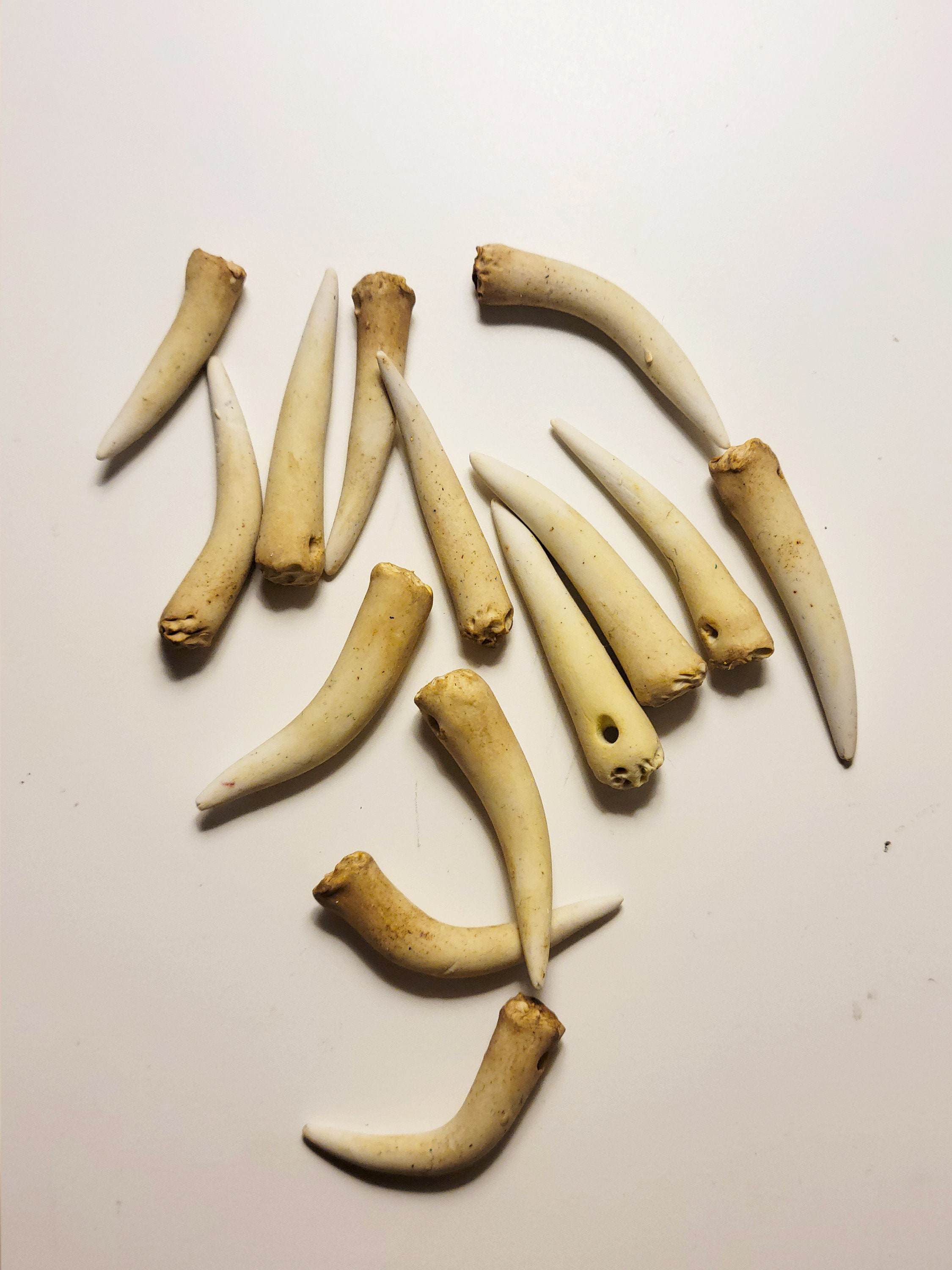 Dragon Tooth | Polymer Clay Dragon Tooth for Jewelry and Craft Making ...