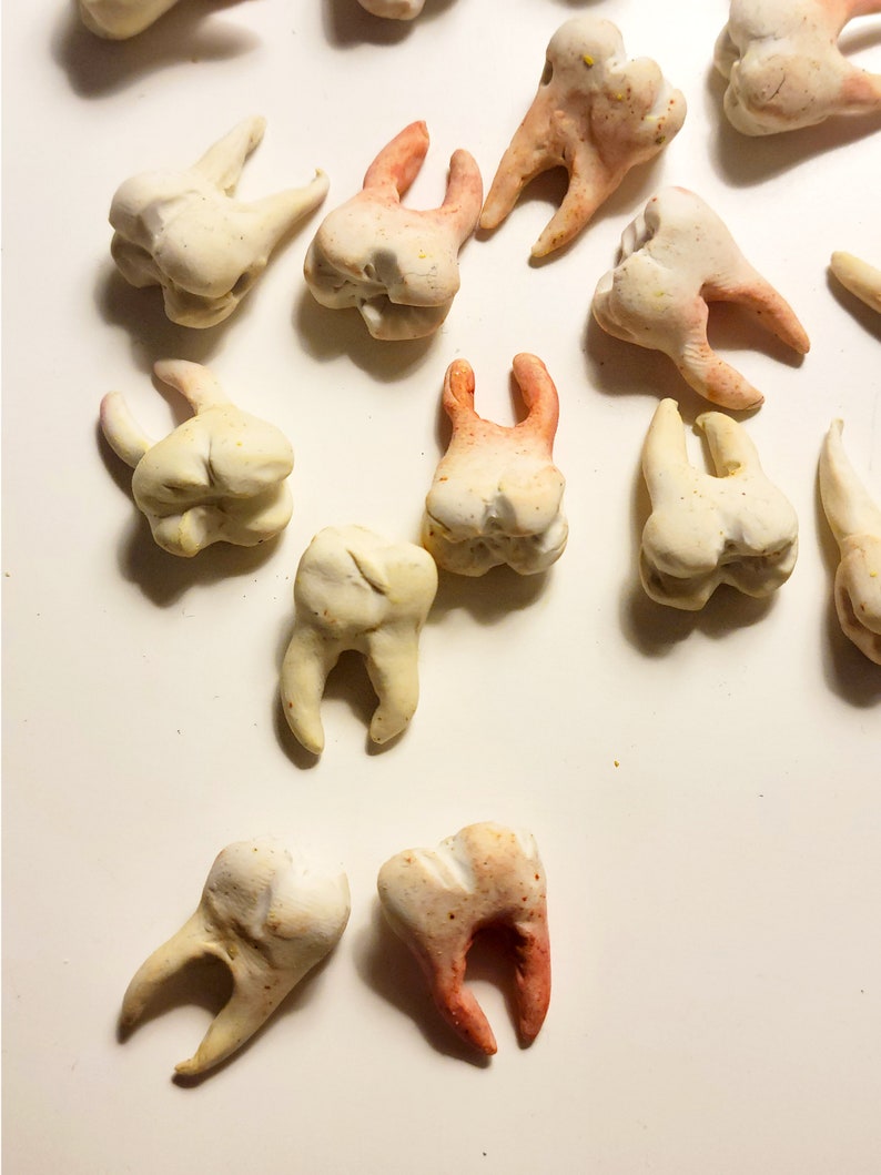 Human Tooth | Polymer Clay Human Tooth for Jewelry and Craft Making ...