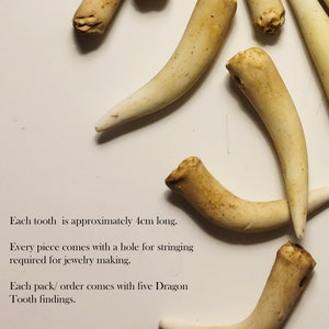 Dragon Tooth | Polymer Clay Dragon Tooth for Jewelry and Craft Making ...