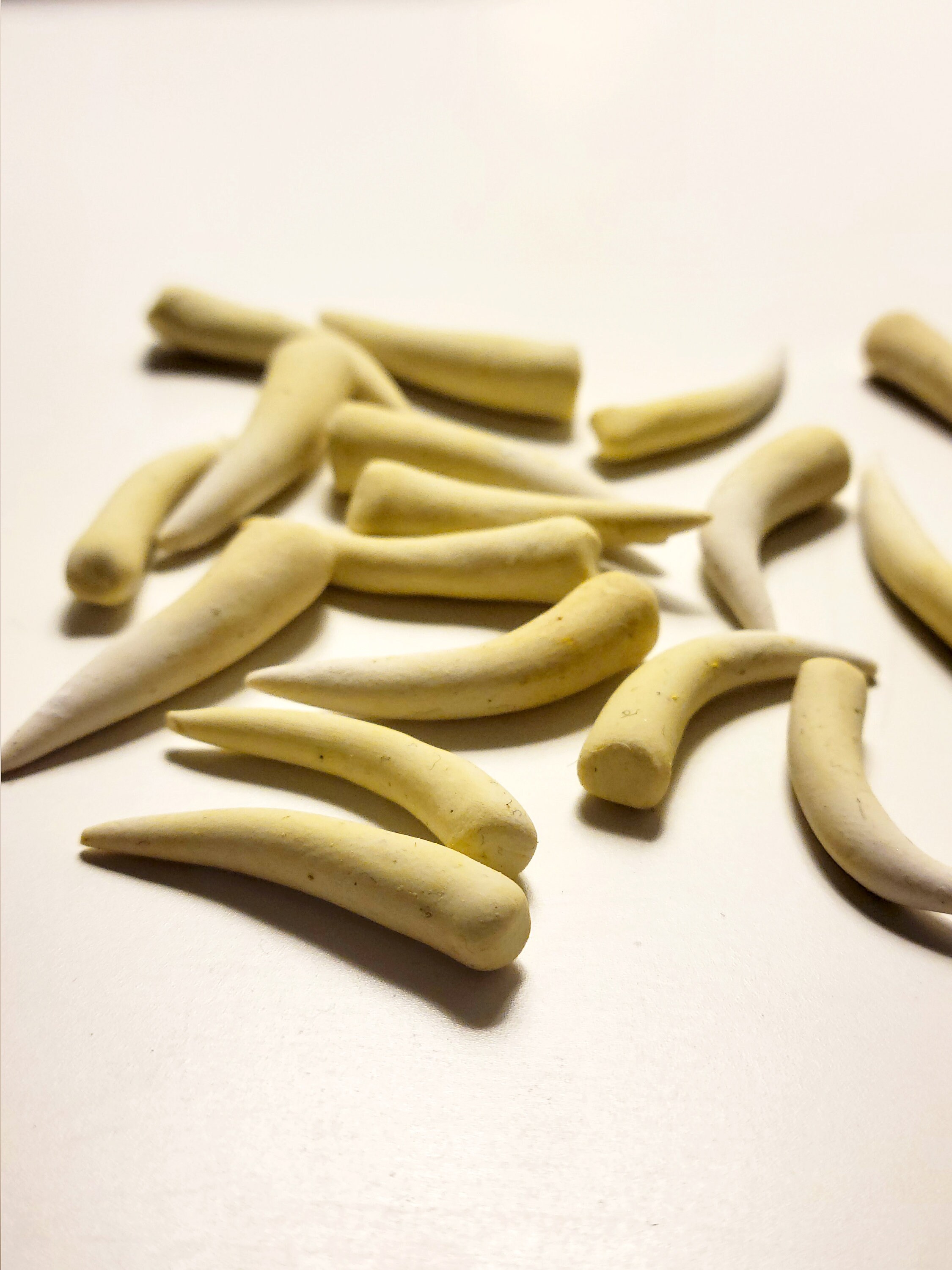 Dragon Tooth style 2 Polymer Clay Dragon Tooth for Jewelry and Craft ...