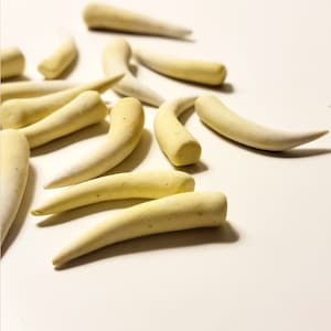 Dragon Tooth (style 2) | Polymer Clay Dragon Tooth for Jewelry and ...