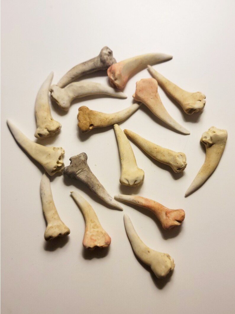 Dragon Tooth style 3 Polymer Clay Dragon Tooth for Jewelry and Craft ...