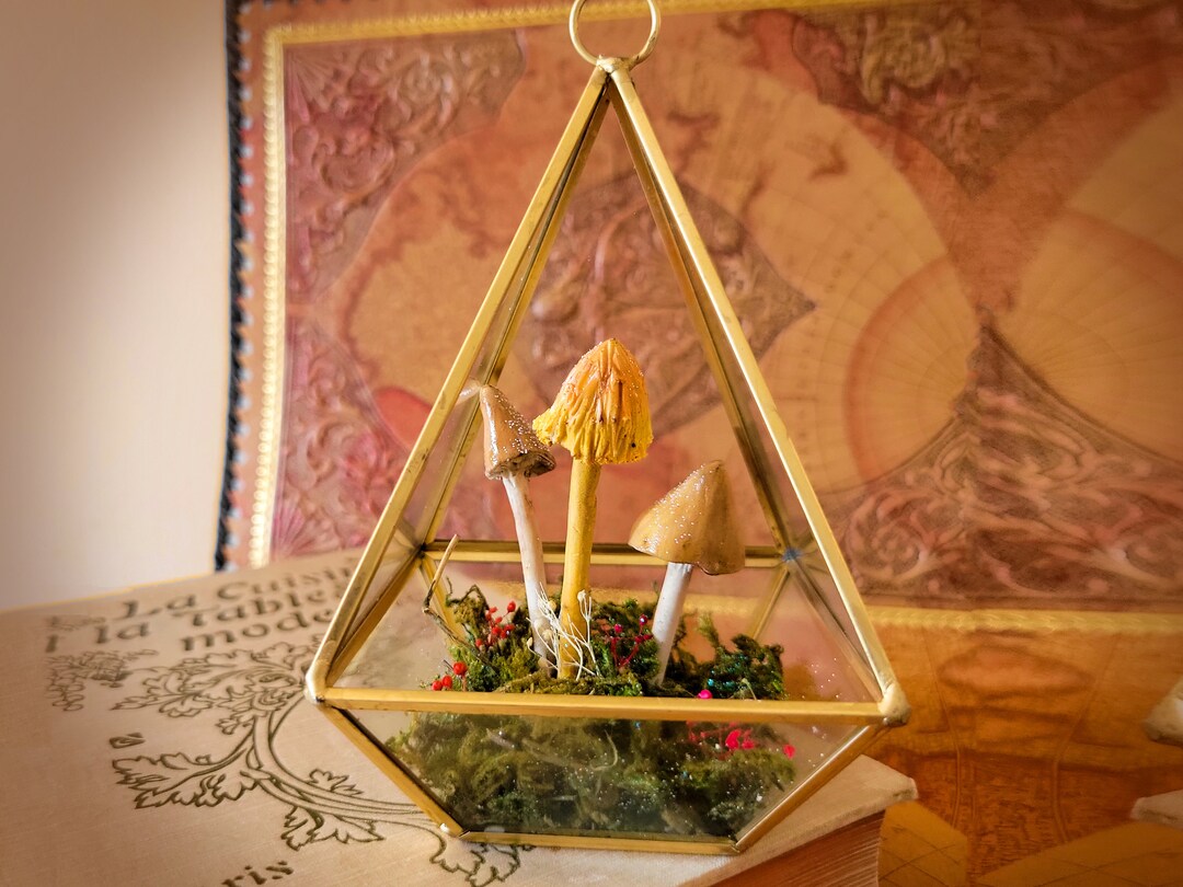Geometric Mushroom Terrarium | Polymer Clay - Etsy