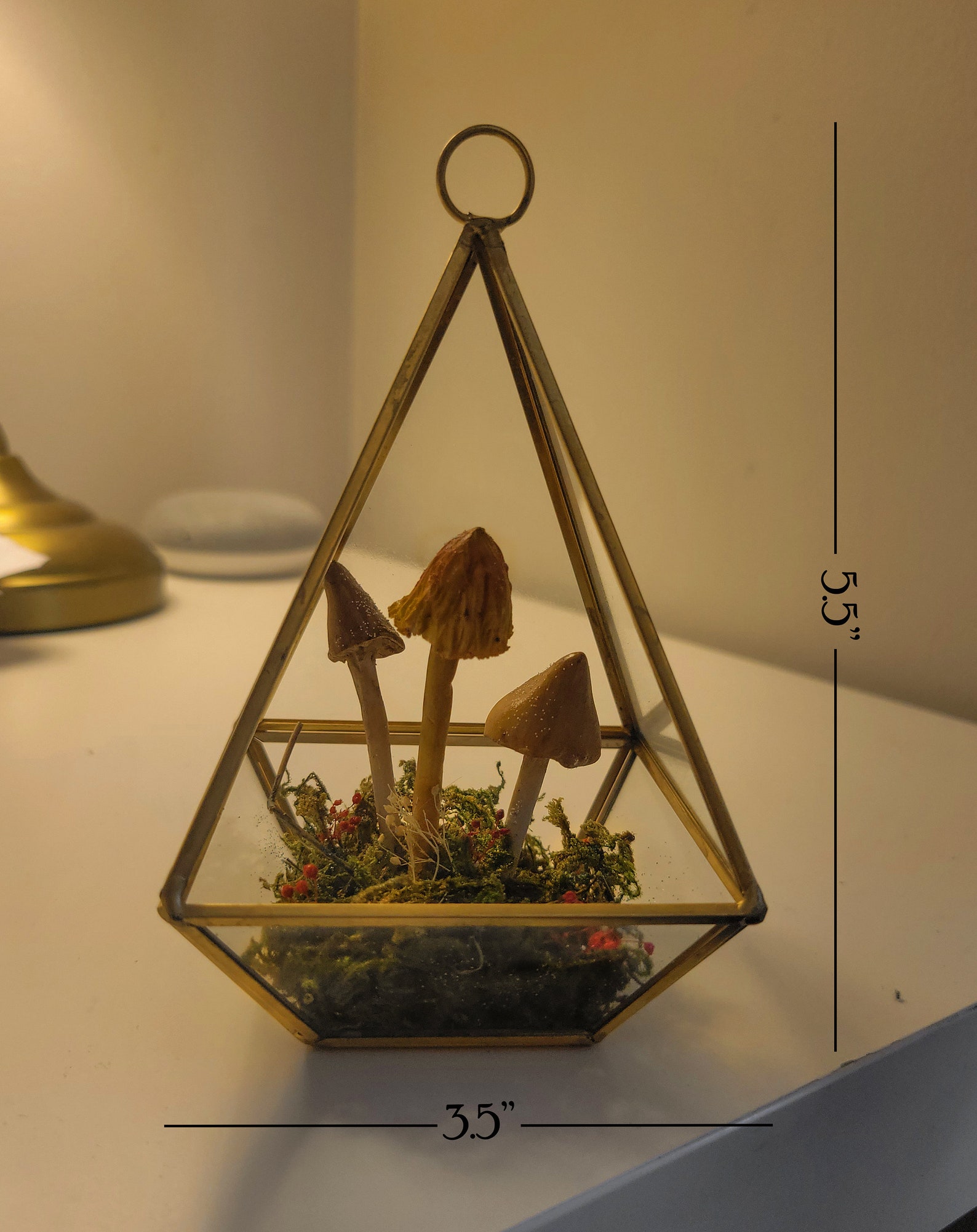 Geometric Mushroom Terrarium | Polymer Clay - Etsy