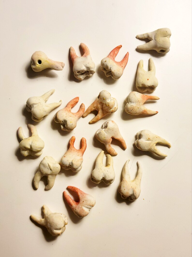 Human Tooth | Polymer Clay Human Tooth for Jewelry and Craft Making ...