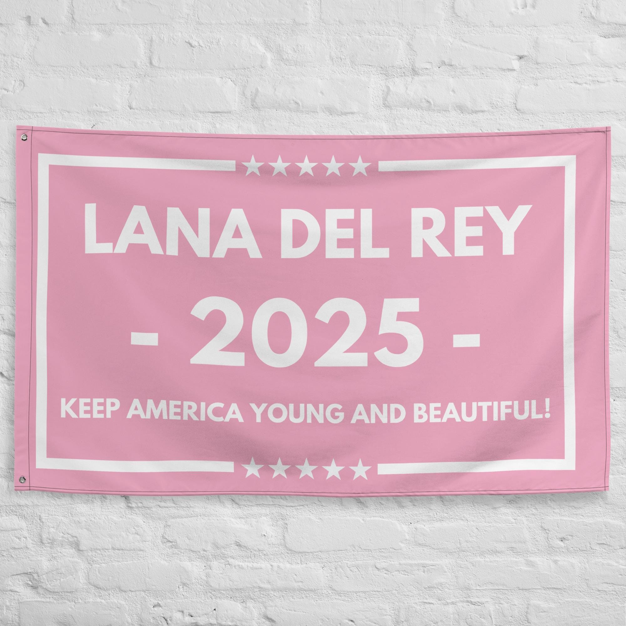 LDR for President 2025 FLAG - Etsy