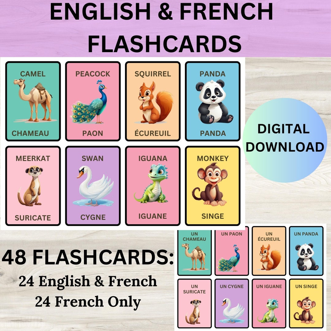 Colorful French English Flashcards for Kids (ages 3+) - Bilingual ...