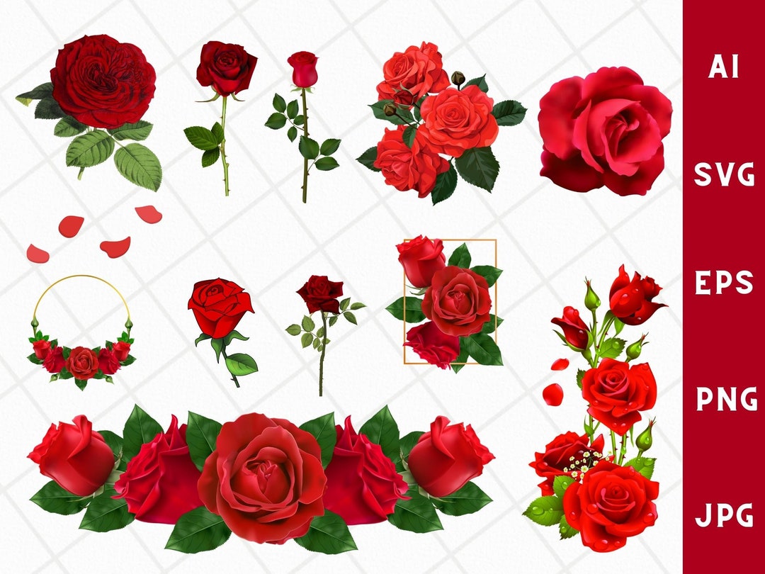 Rosa roja SVG / Rose SVG bundle / Red rose Clipart /Roses - Etsy México