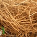 Vetiver Root,indian Natural Organic Herb, Khus Khus, Dry Root, Khas Jad ...