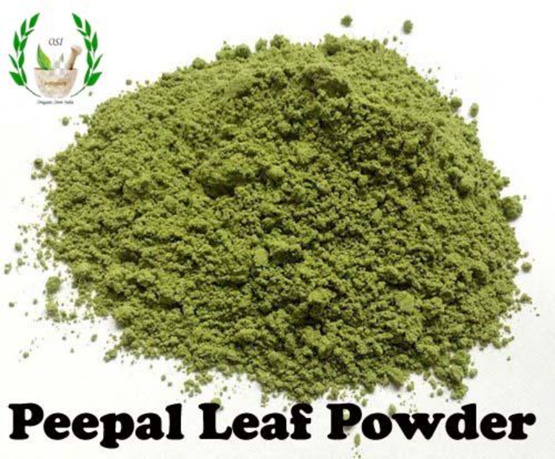 Peepal Leaf Powder Ficus Religiosa Leaves Powder Sacred Fig Leaf Powder ...