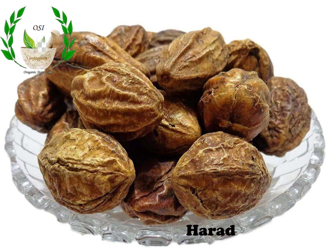 Harad Haritaki Terminalia Chebula Tree Seed, Chebulic Myrobalan Indian ...