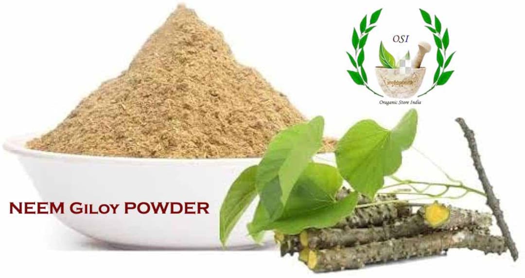 Organic Giloy Guduchi Stem Powder: Ayurvedic Herb - Etsy Canada