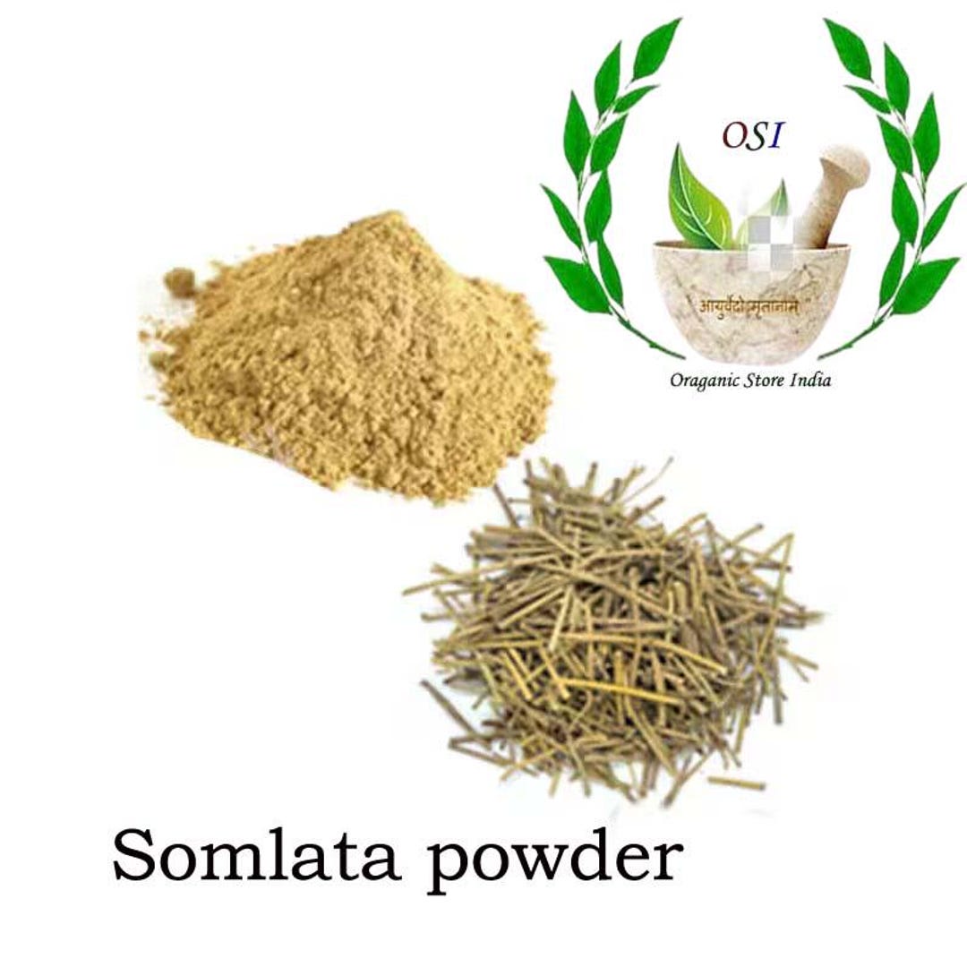 Somlata Powder, Somlata Churna, Gerard Jointfir Ain Khanta, Ephidra ...