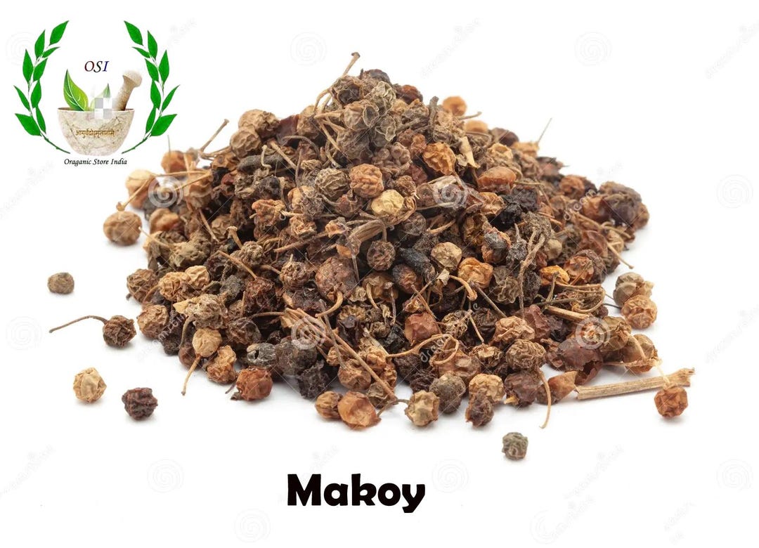 Makoy - Makoh - Solanum Nigrum - Black Night Shade - Etsy