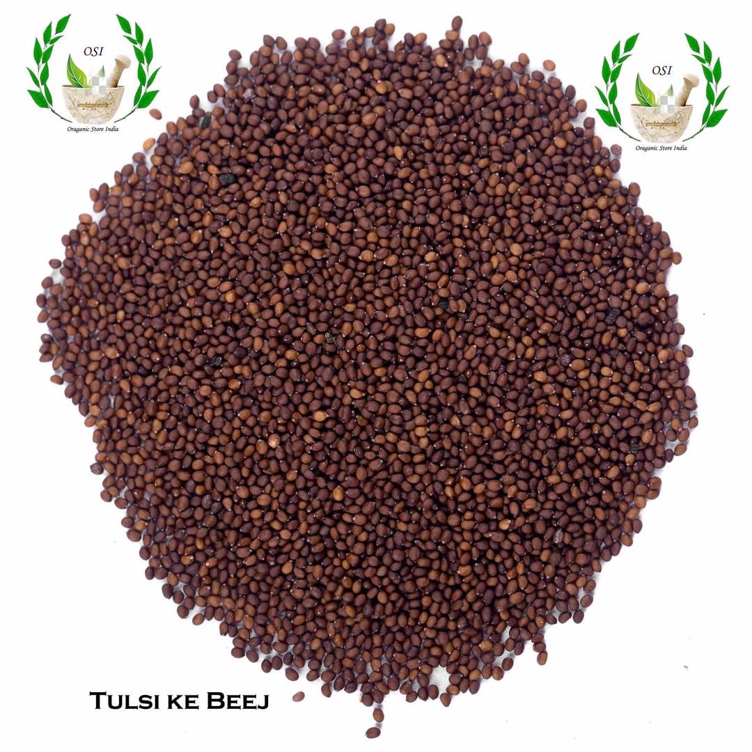 Tulsi Ke Beej, Organic Basil Seed, Natural Basil Seed, Basil Seeds ...