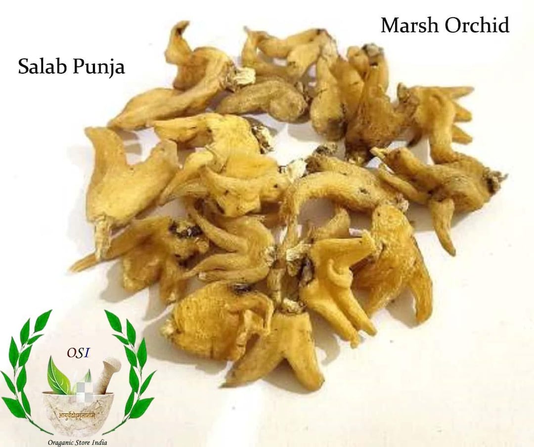Salab Punja, Marsh Orchid, Raw Herbs, Salam Panja Jadi Booti, Salem ...