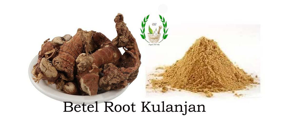 Organic Betel Root Kulanjan - Kulinjan -pure Paan Jadd - Paan Root ...