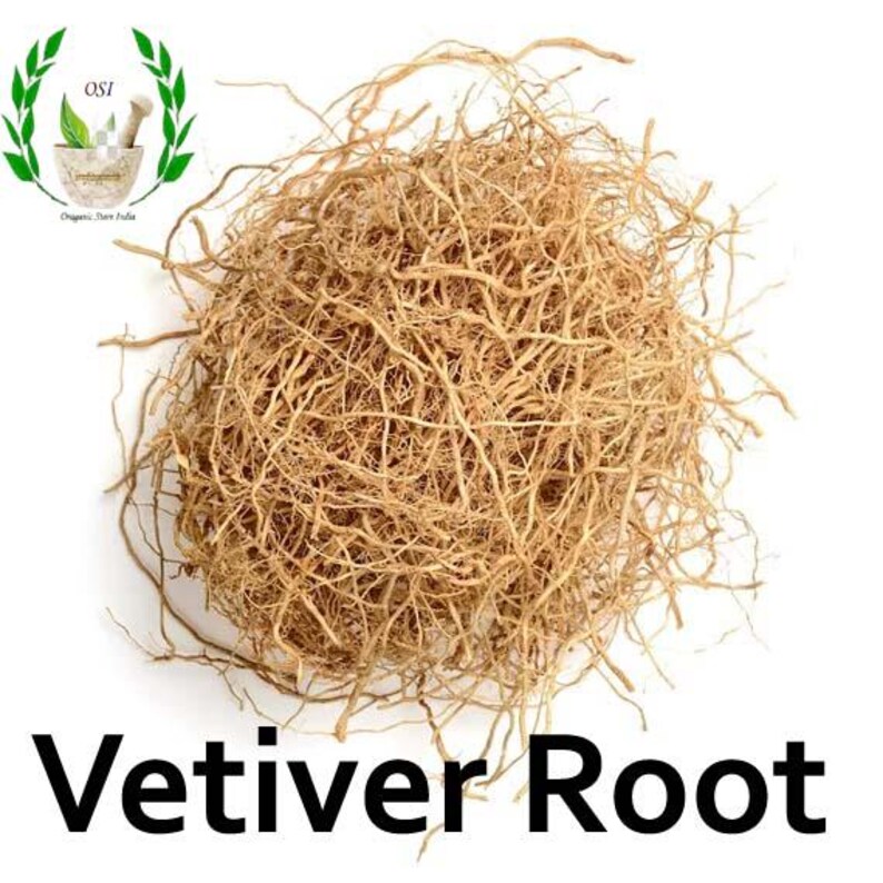 Vetiver Root,indian Natural Organic Herb, Khus Khus, Dry Root, Khas Jad ...