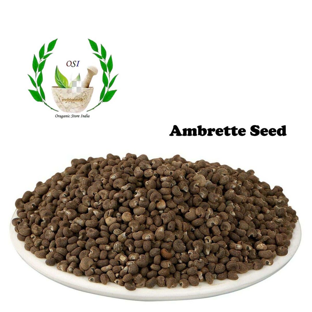 Organic Ambrette Seed Abelmoschus Moschatus Latakasturi Muskdana ...