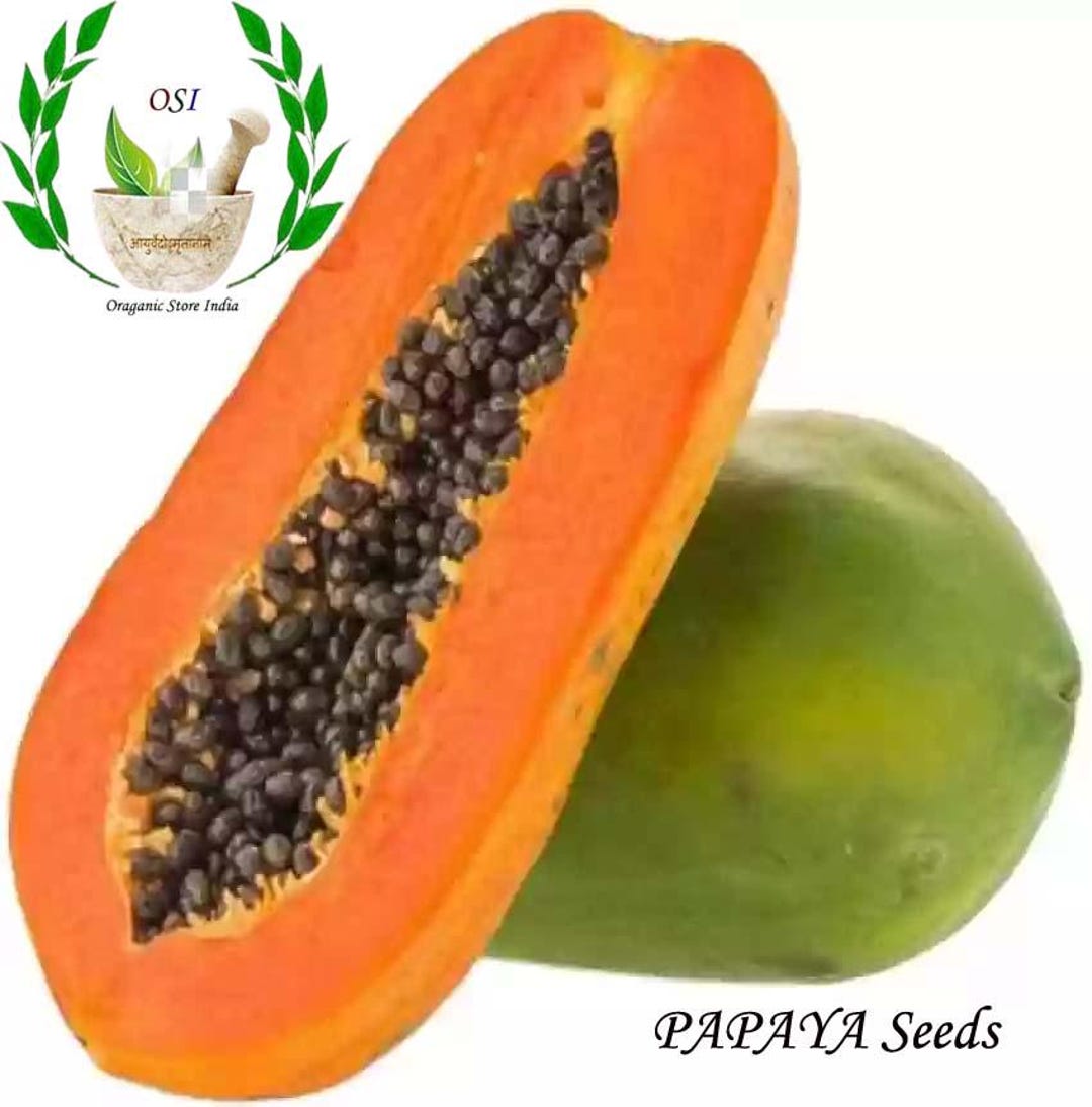 Organic Dried Papita Seeds, Natural Papaya Seeds, Papaya Seeds - Etsy