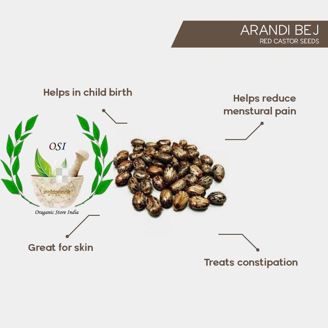 Castor Organic Seeds - Ricinus Communis | Natural Seeds, Arandi Beej - Etsy