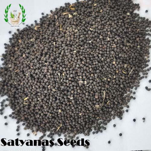 Satyanashi Seeds, Argemone Mexicana Seeds, Mexican Prickly Poppy ...