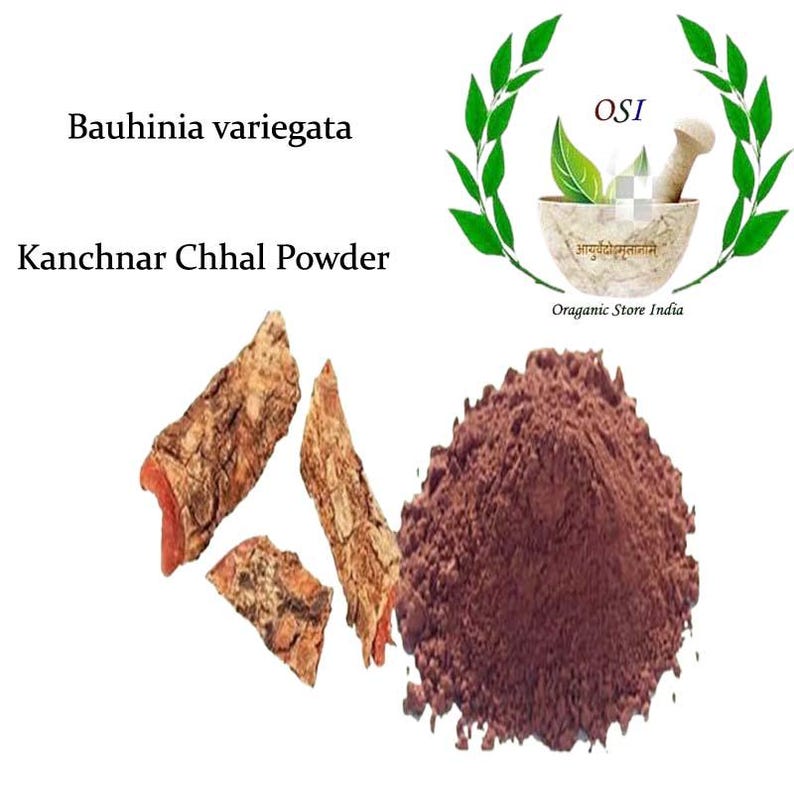 Bauhinia Variegata, Kachnaar Chaal, Kachnar Chhal, Kanchnar Chhal ...