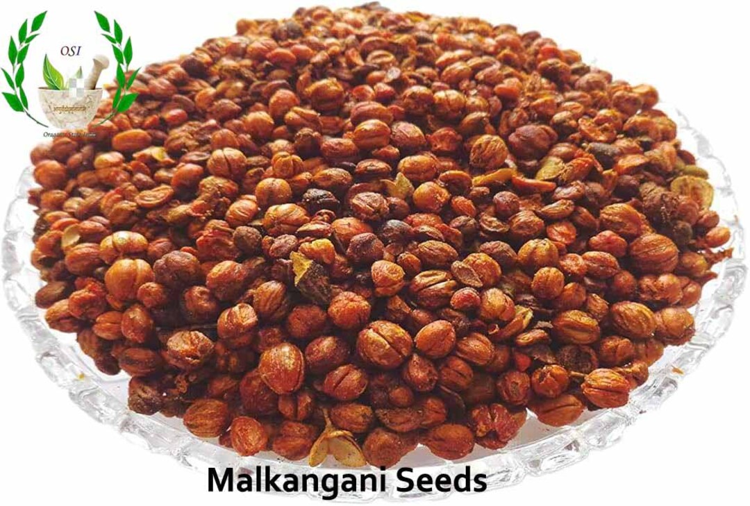 Malkangani Powder, Malkangani Seed, Celastrus Paniculatus, Jyotishmati ...