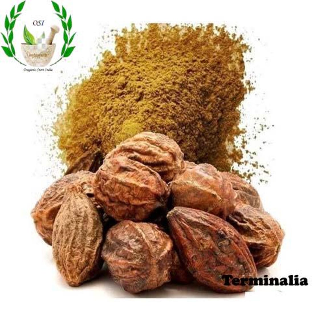 Harad Haritaki Terminalia Chebula Tree Seed, Chebulic Myrobalan Indian ...