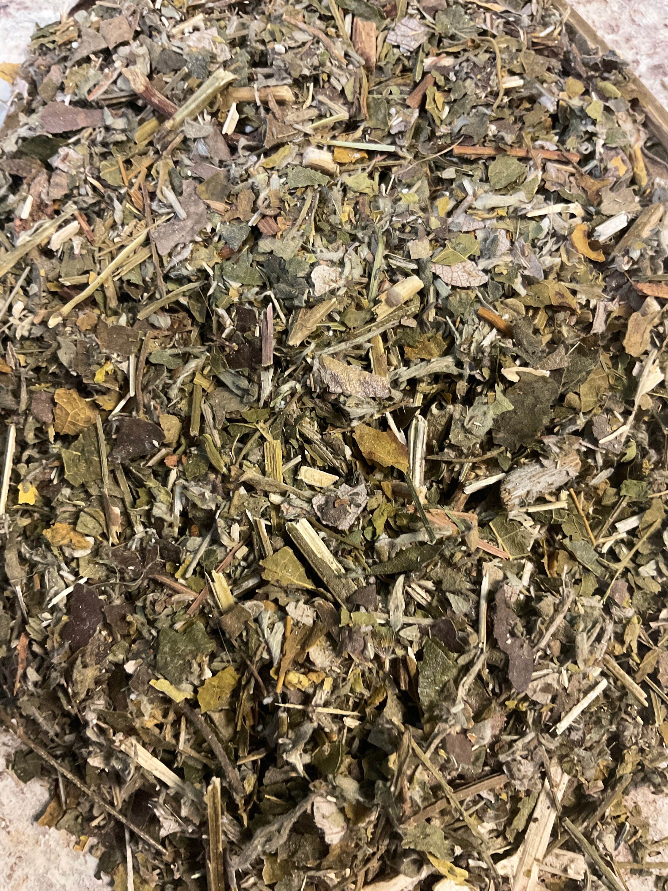 Herbal Tea for Gall Bladder Boldo, Wormwood Plant Digestion, Pain ...