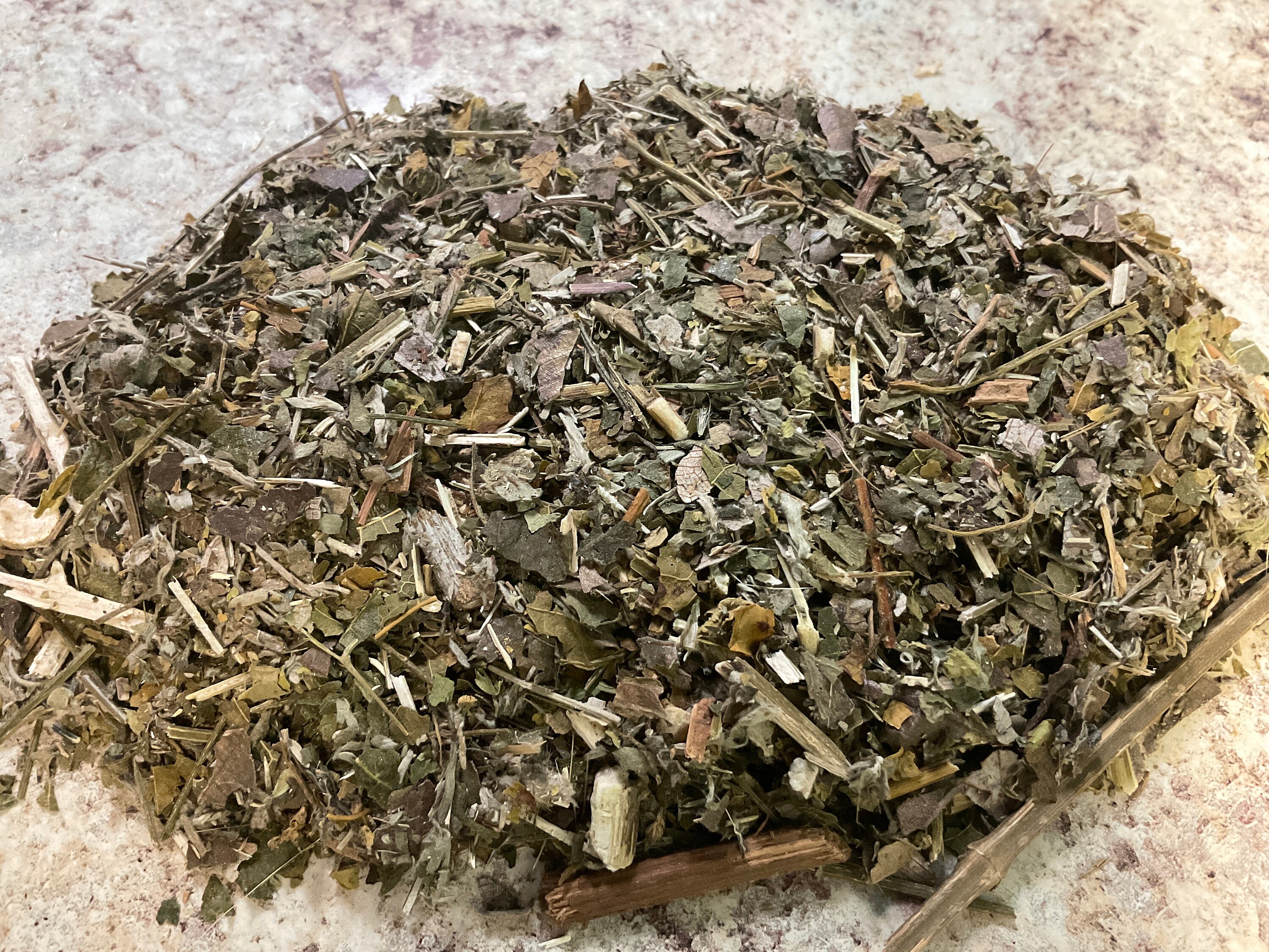 Herbal Tea for Gall Bladder Boldo, Wormwood Plant Digestion, Pain ...