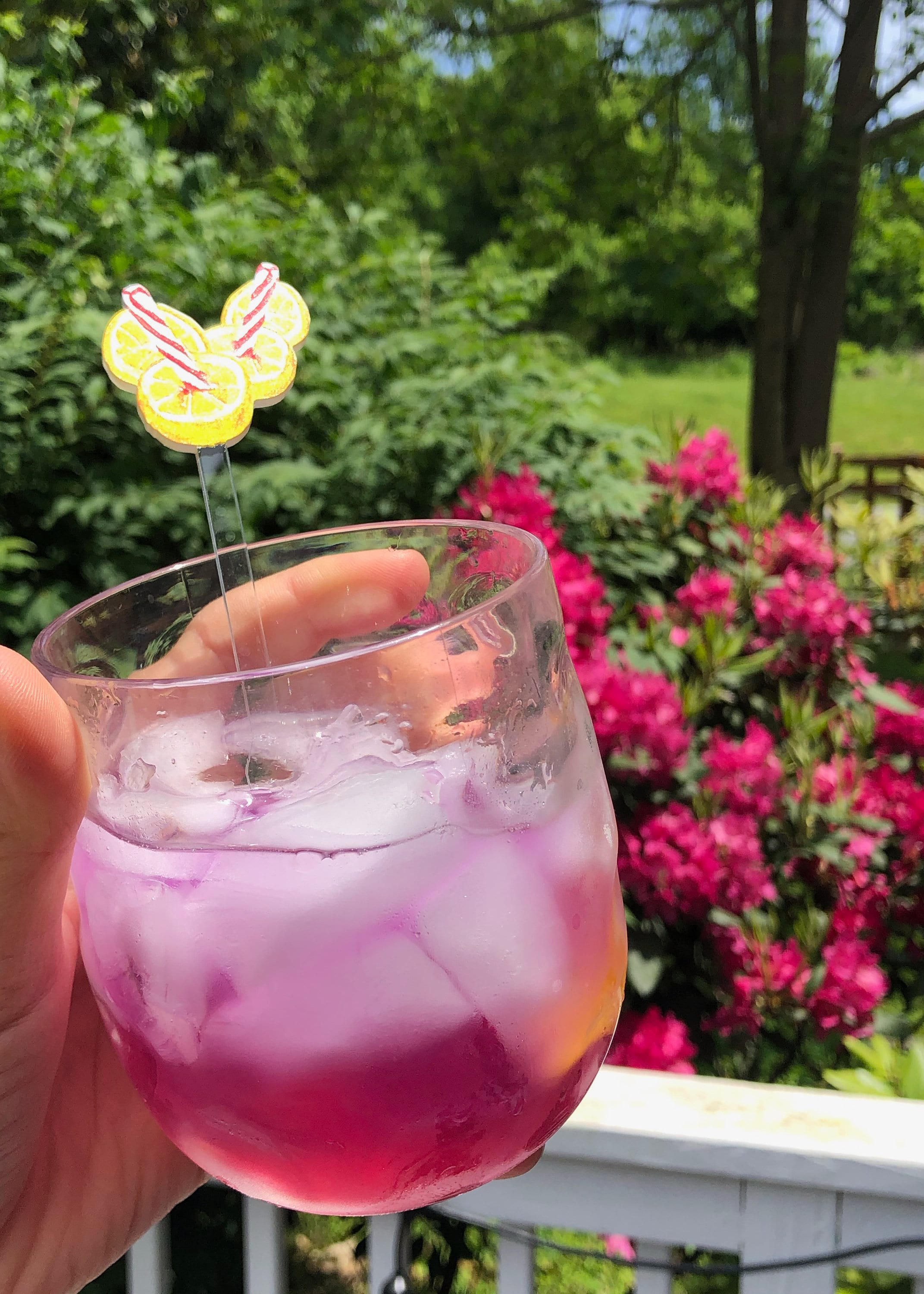 Maryland Drink Stir Stick Set | Reusable Acrylic Stir Sticks | Cocktail ...