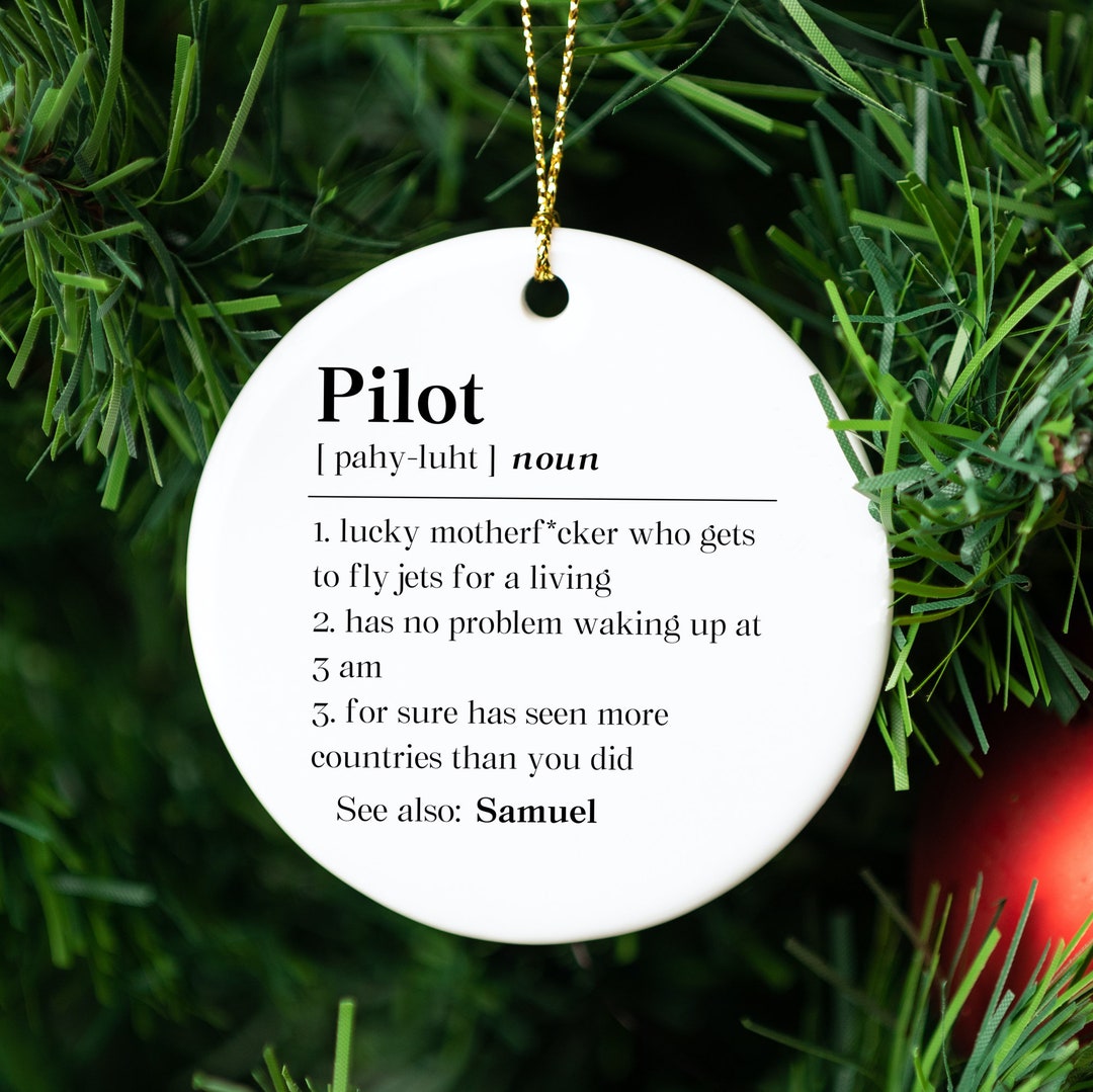 Personalized Pilot Ornament, Funny Pilot Gift, Plane Aviation Christmas ...