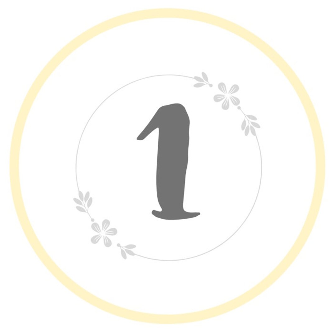 Monthly Baby Milestone Numbers- DIGITAL DOWNLOAD - Etsy
