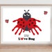 Happy Valentine's Day / Love Bug / Ladybird / Valentine Gift ...