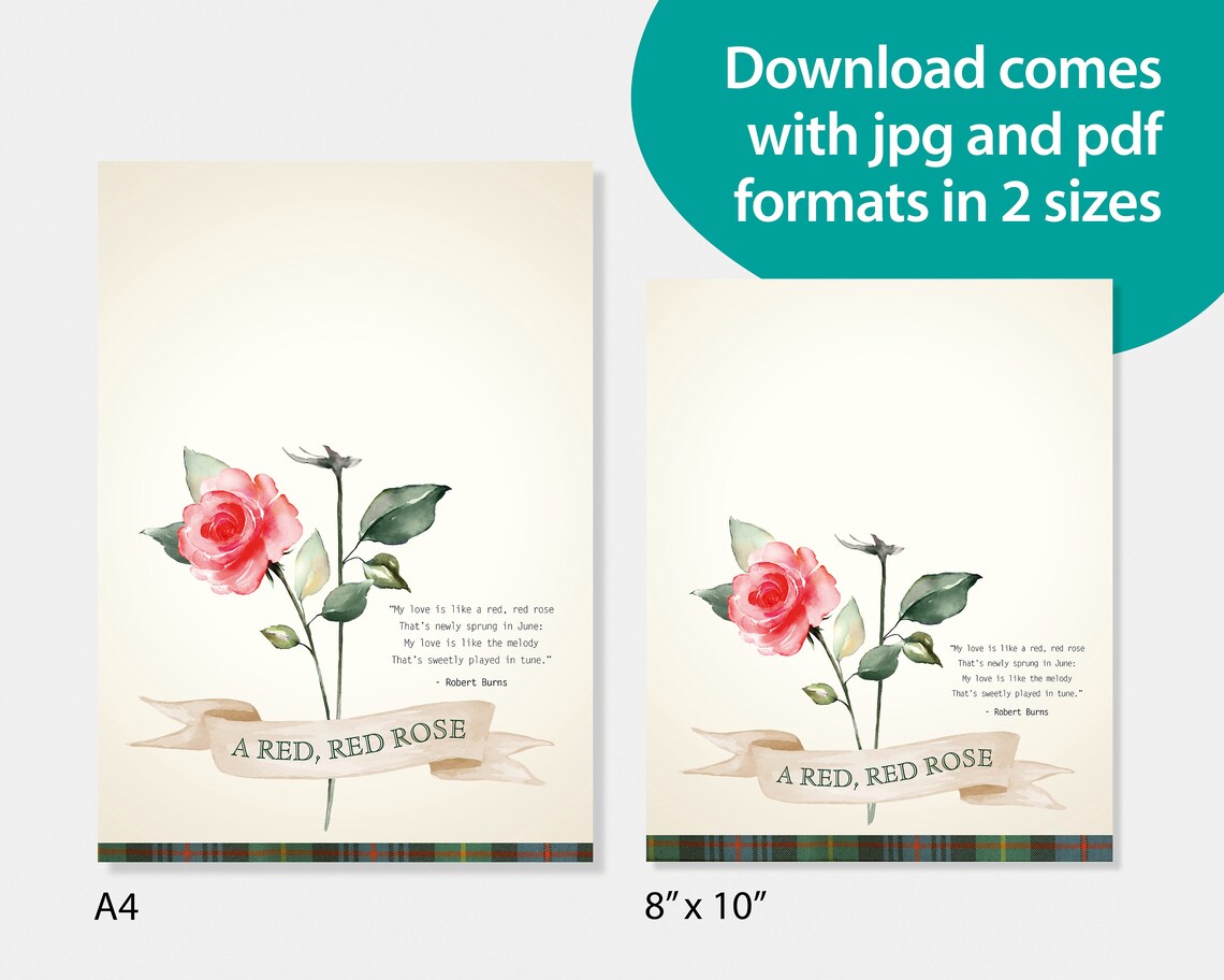 Burns Night / Robert Burns / A Red Red Rose / Handprint Art / Decor ...