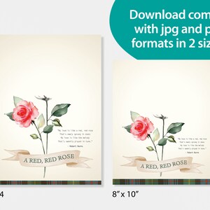 Burns Night / Robert Burns / A Red Red Rose / Handprint Art / Decor ...
