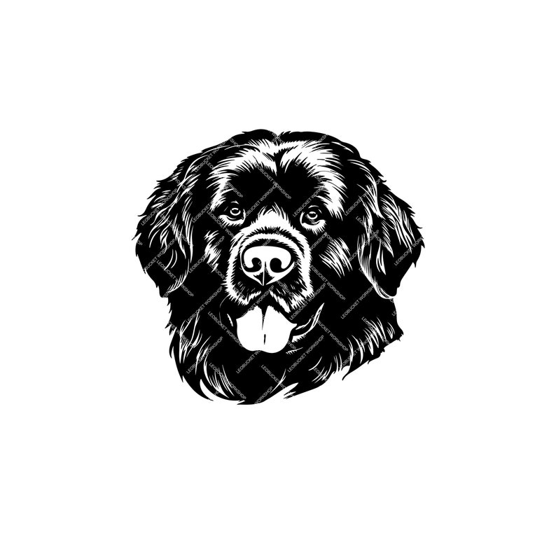 Newfoundland Dog SVG Cut File for Cricut DIY Crafting Vector Image ...