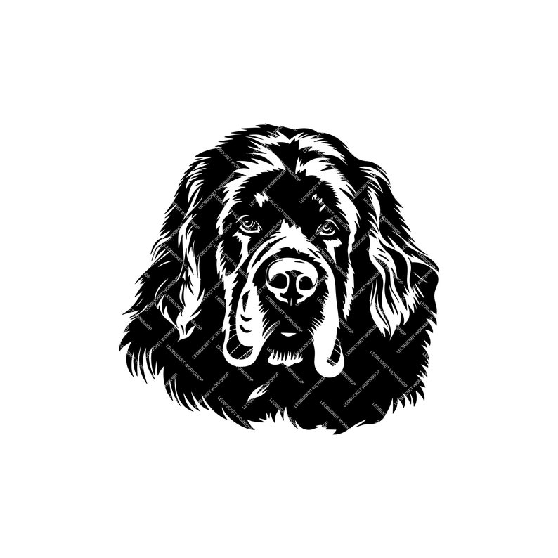 Newfoundland Dog SVG Vector Image for Cricut- DIY Crafting - Instant ...