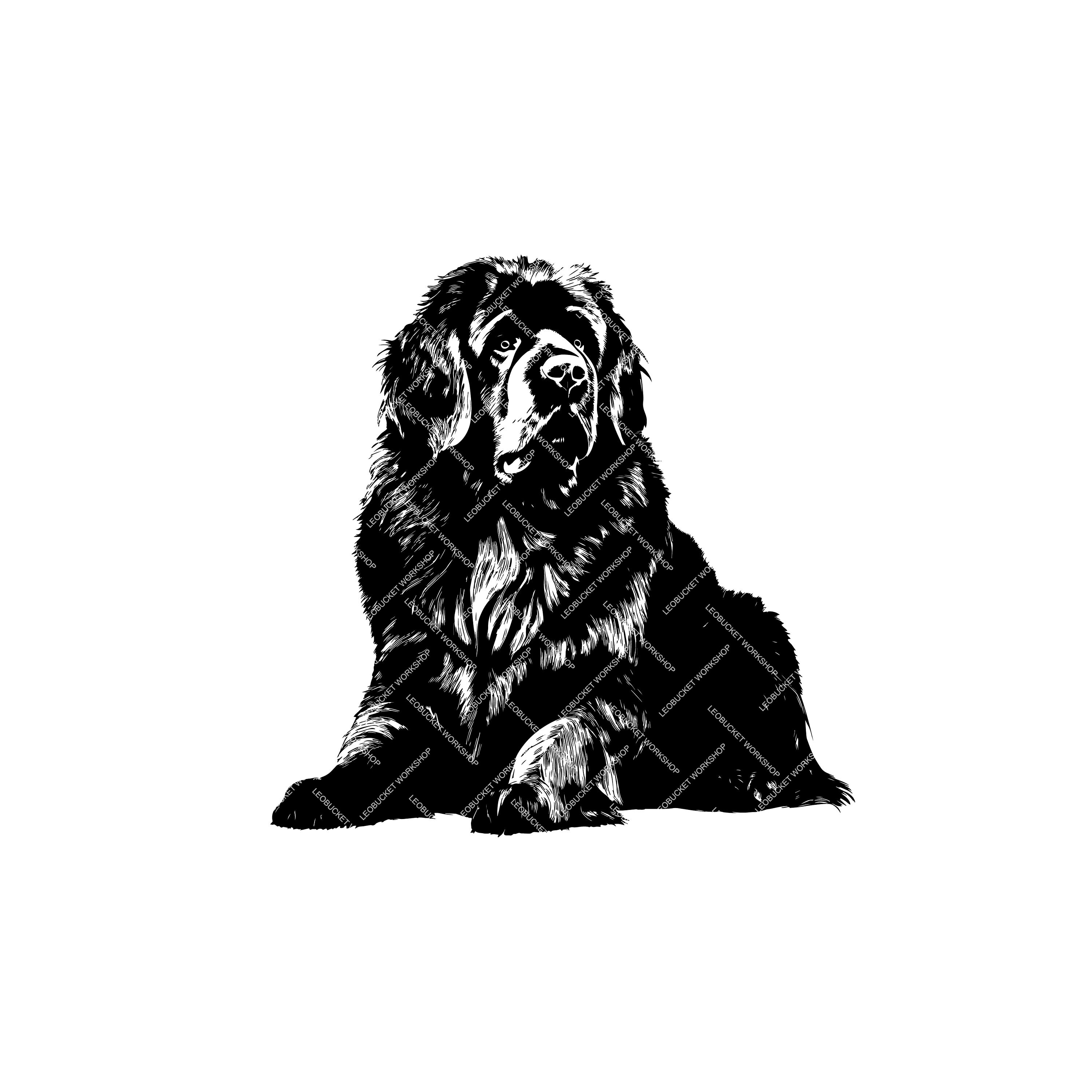 Newfoundland Dog SVG Cut File for DIY Crafting - Car Stickers, T-shirt ...