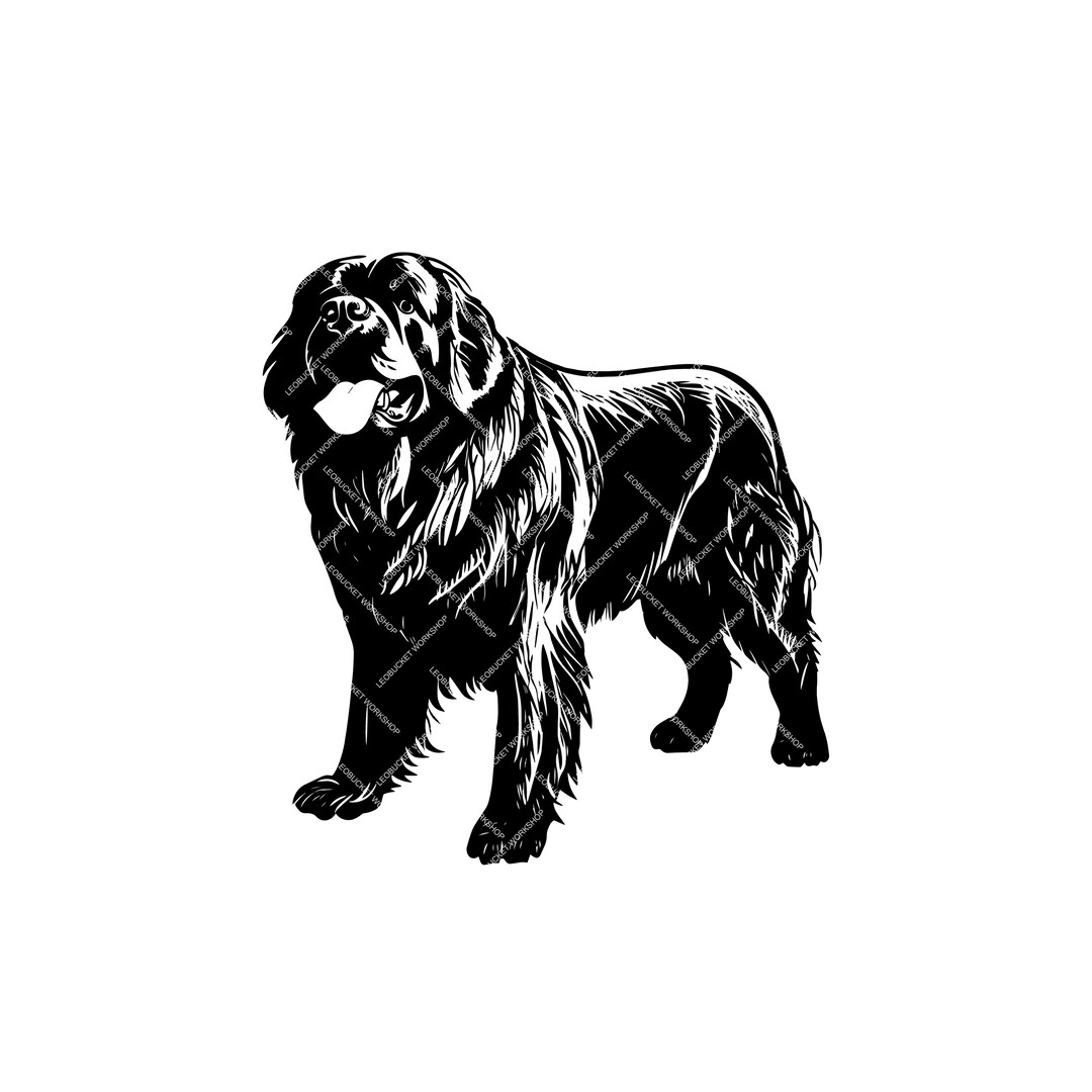 DIY Crafting Newfoundland Dog SVG Stickers, Vector Image, Cricut Cut ...