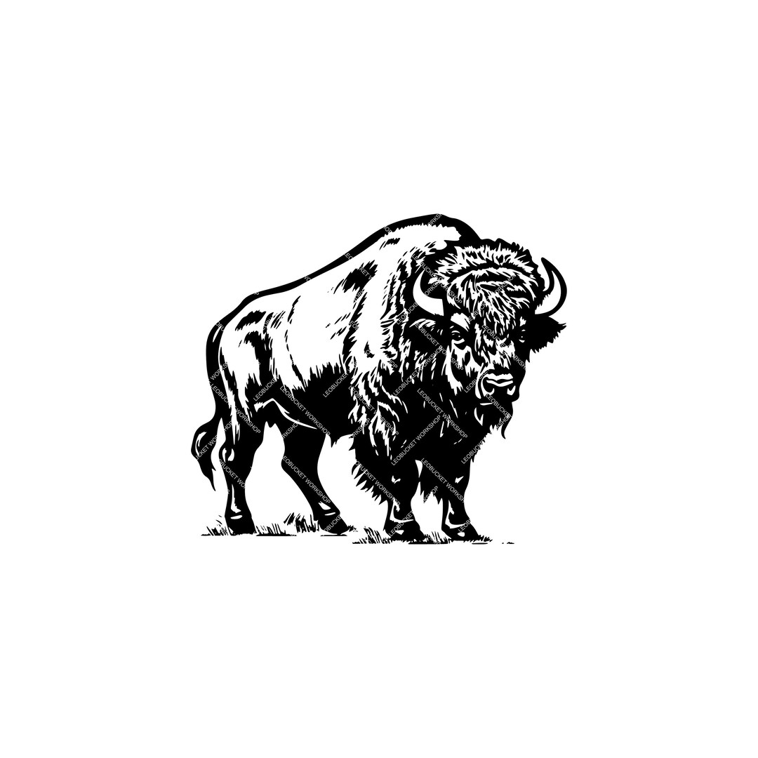 Standing Bison Vector Image Cut File for Cricut SVG and PNG Wild Animal ...