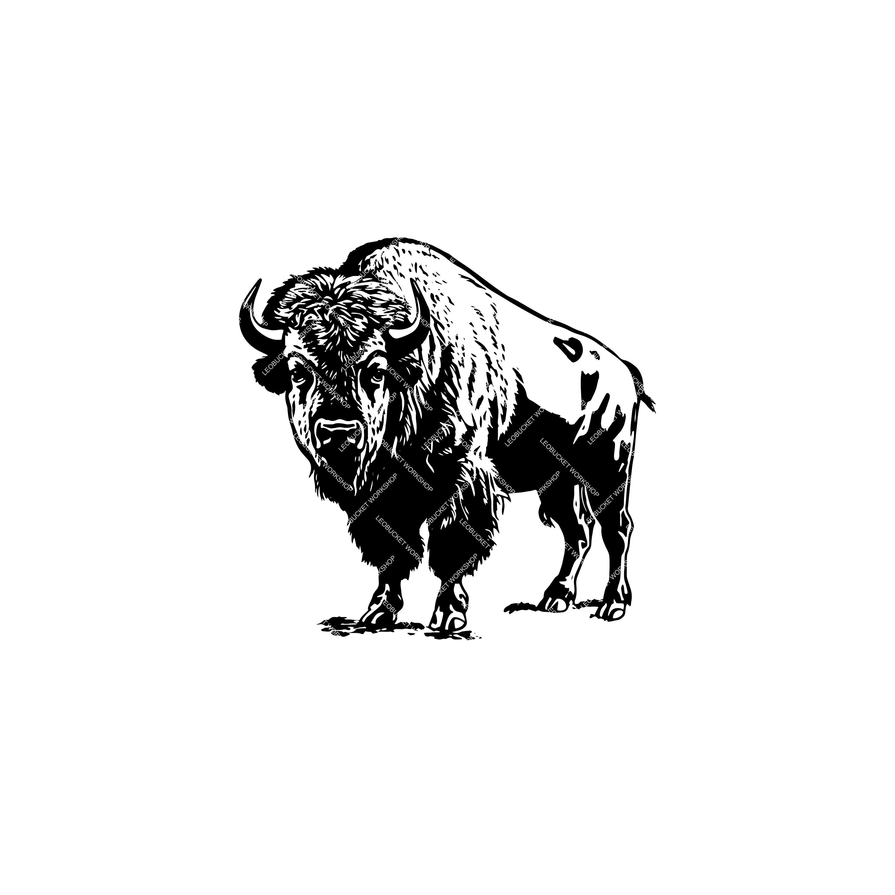 Wild Bison SVG Cut File DIY Crafting Standing Bison Vector Image Wild ...