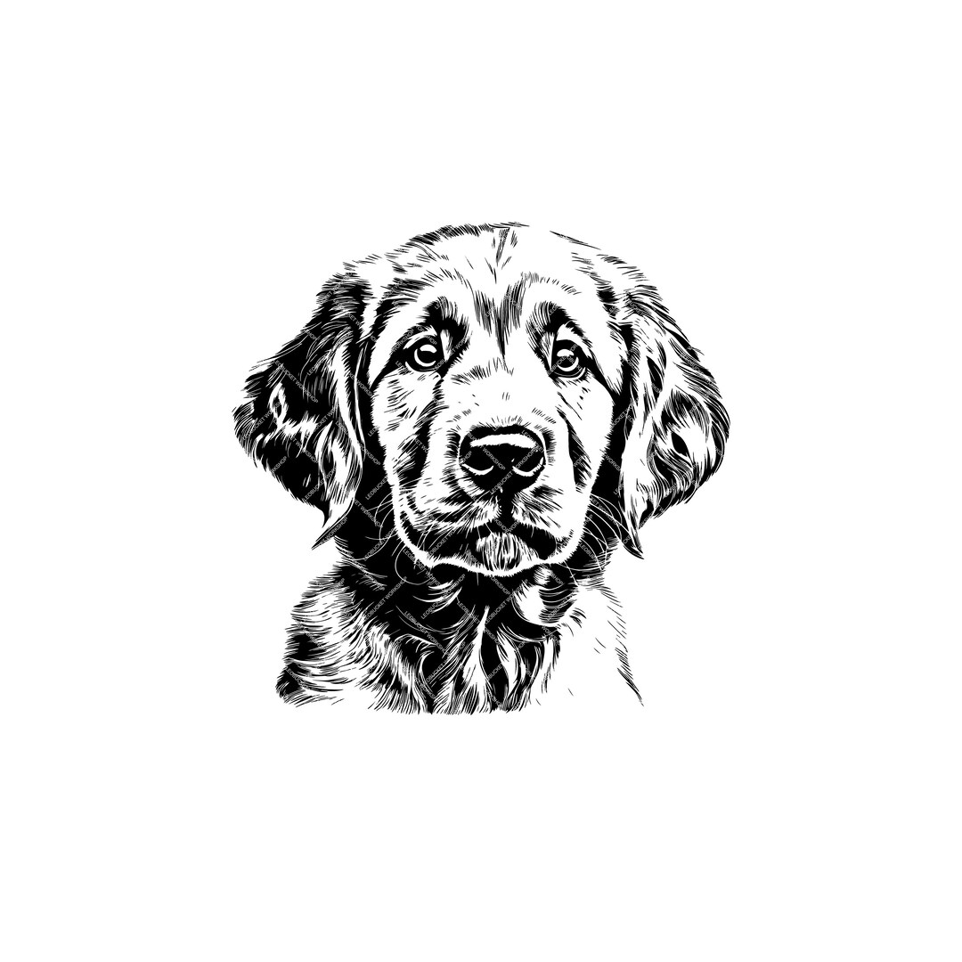 Golden Retriever Puppy Dog SVG - DIY Crafting Vector Image Design ...